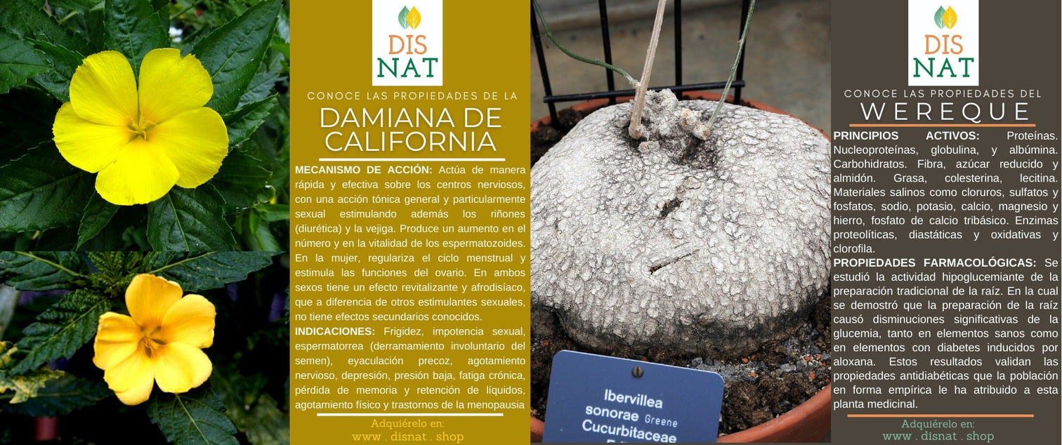 Catálogo Cohonasa - Productos Compuestos – DISNAT